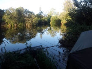 Peewit | UK Carp & Coarse Fishing