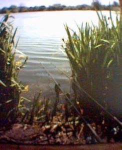 Lakes | UK Carp & Coarse Fishing