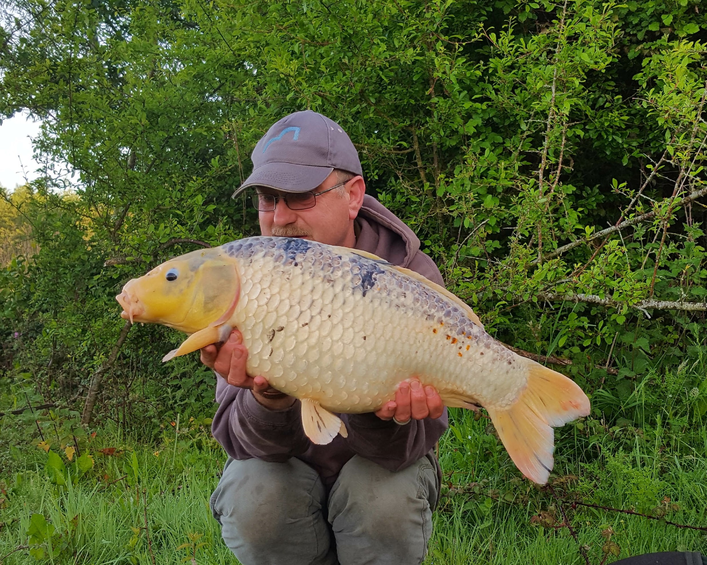 Stick Mix & My Thoughts | UK Carp & Coarse Fishing