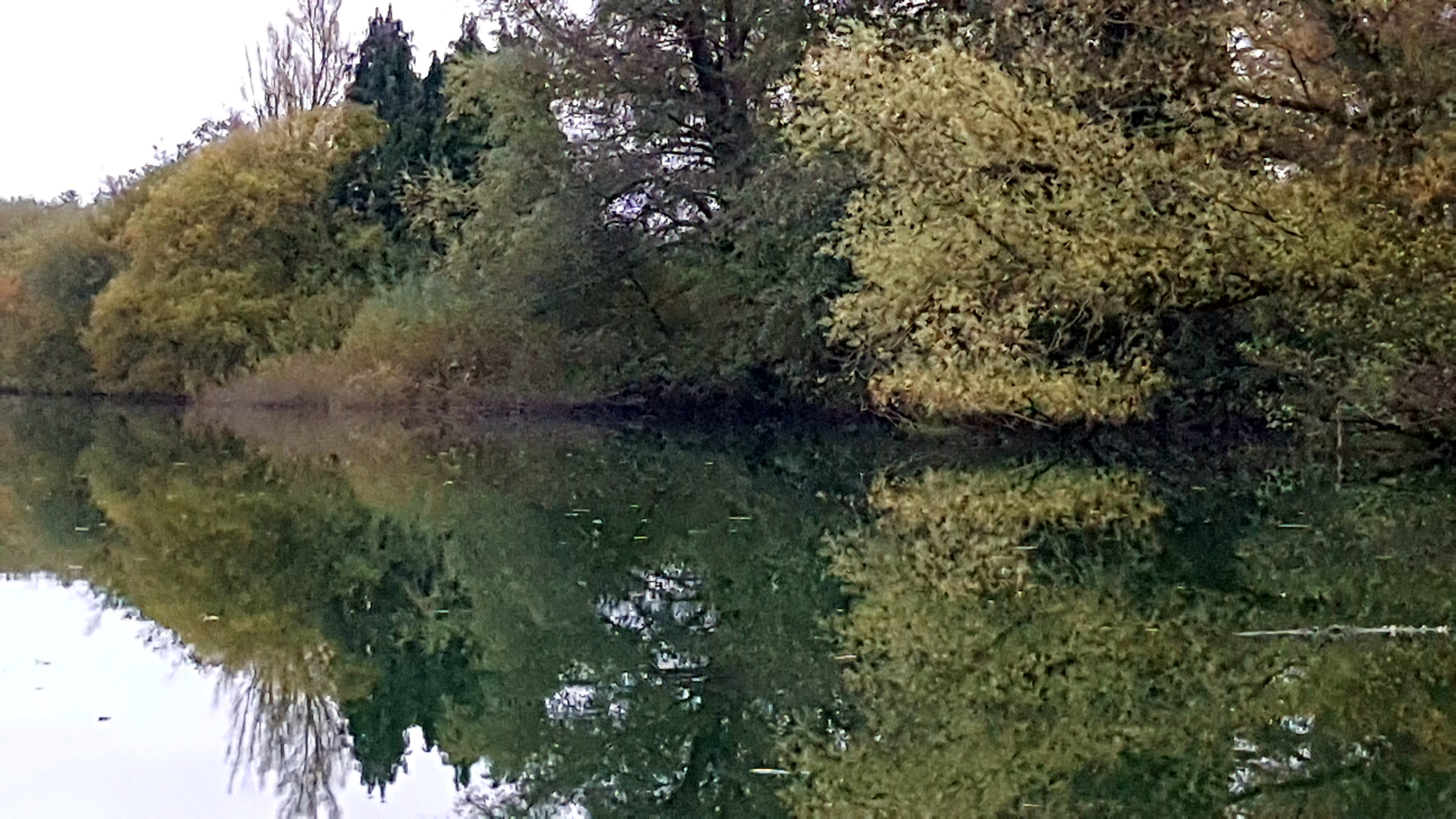 Stick Mix & My Thoughts | UK Carp & Coarse Fishing