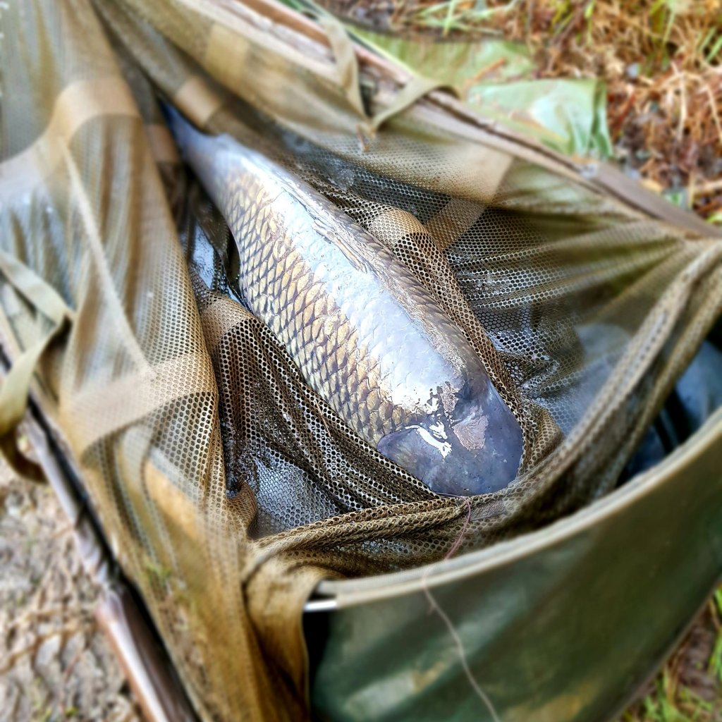 Trip 15 Carp Fishing – 2020 | UK Carp & Coarse Fishing