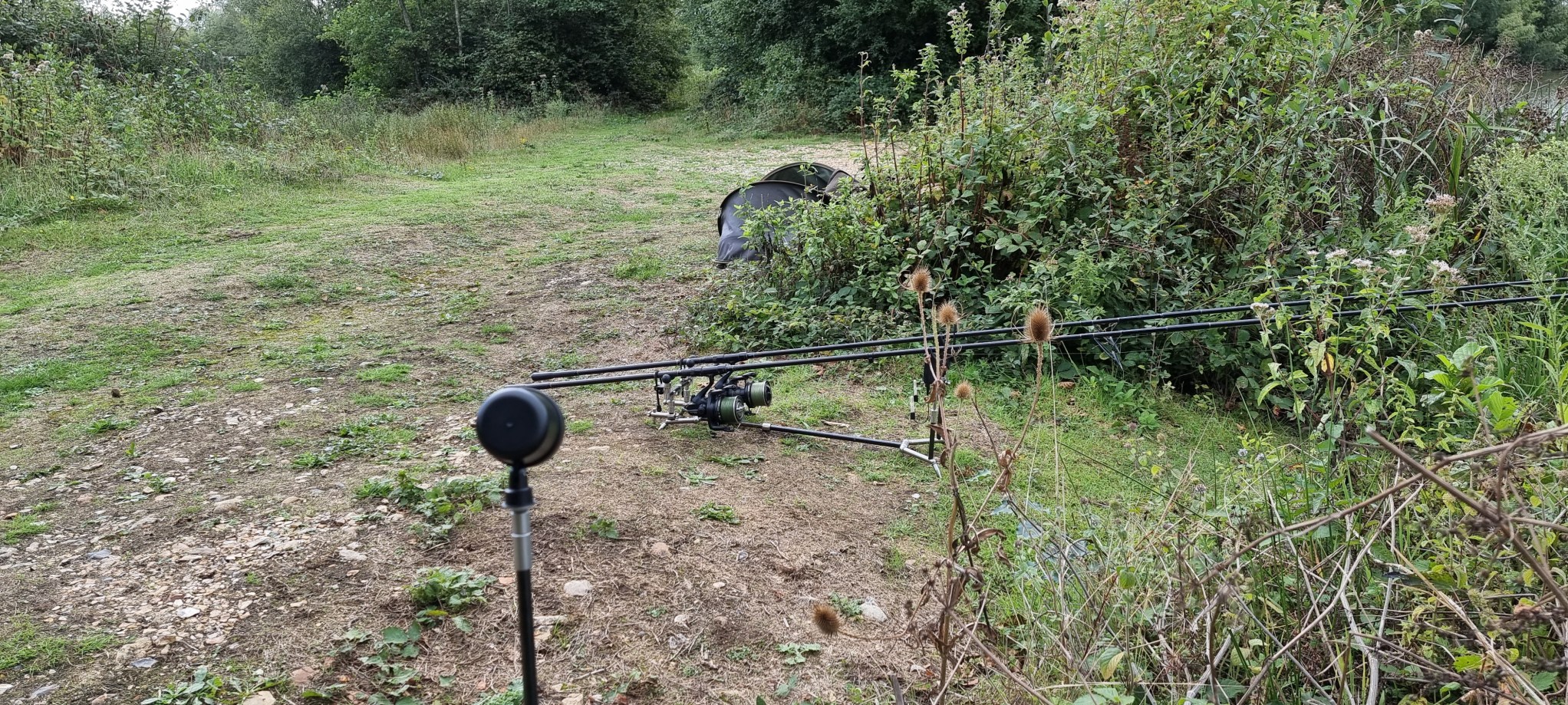 MOTION SENSOR – LED BANK LIGHT | UK Carp & Coarse Fishing