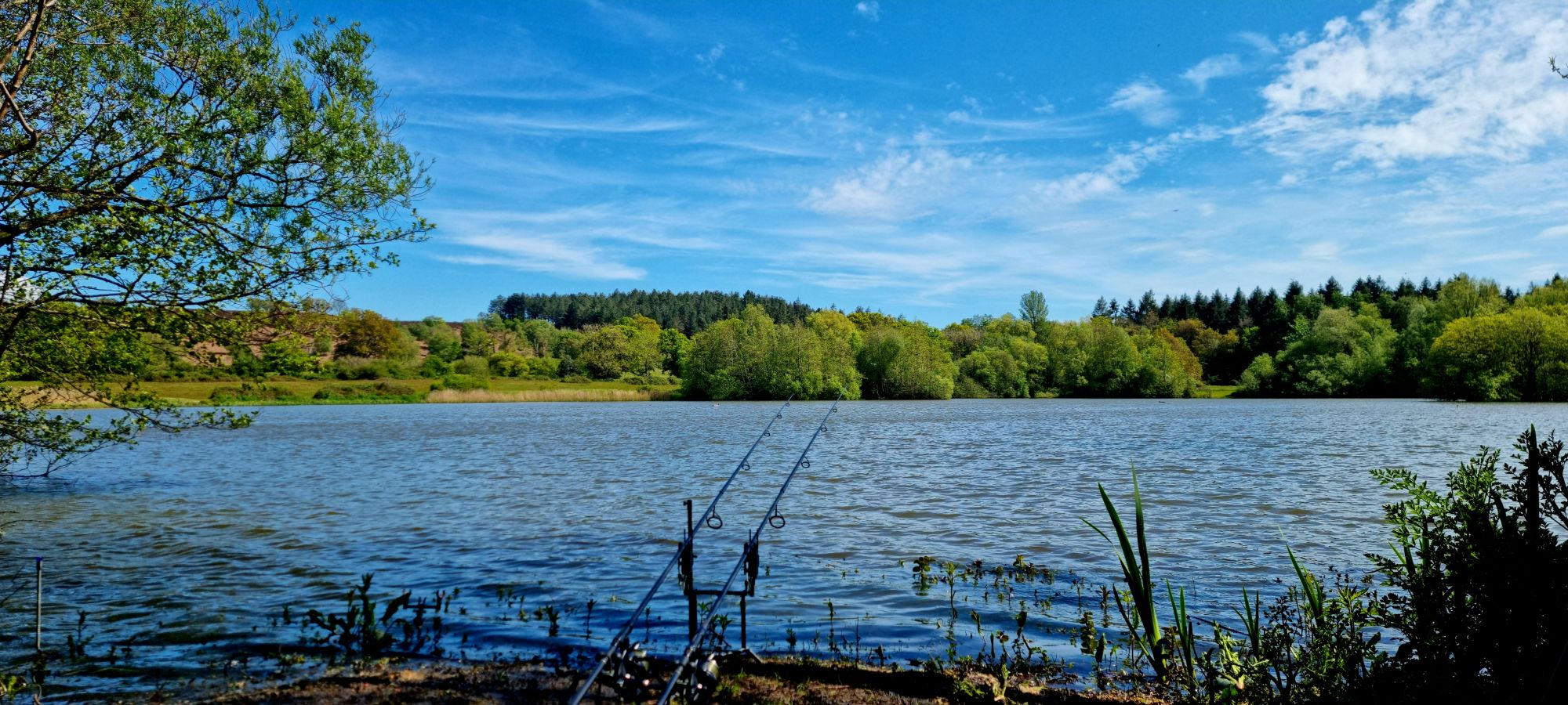 Back for a few nights | UK Carp & Coarse Fishing