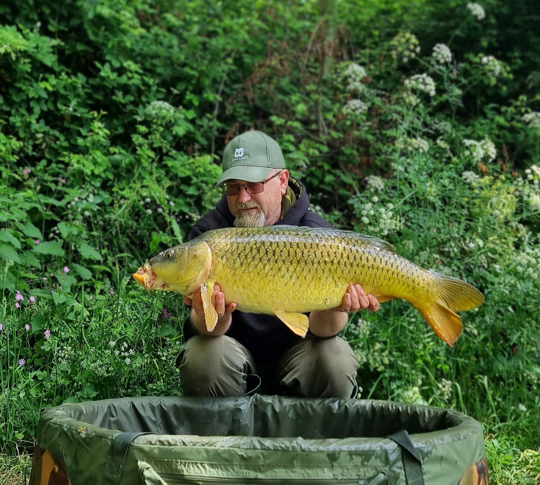Golden Colours | UK Carp & Coarse Fishing