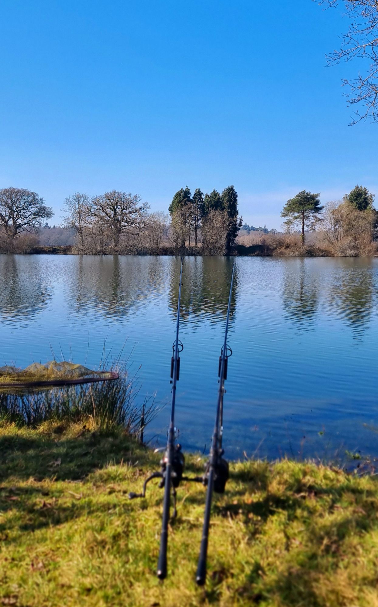 UK Carp & Coarse Fishing | Fishy Tales & Stories