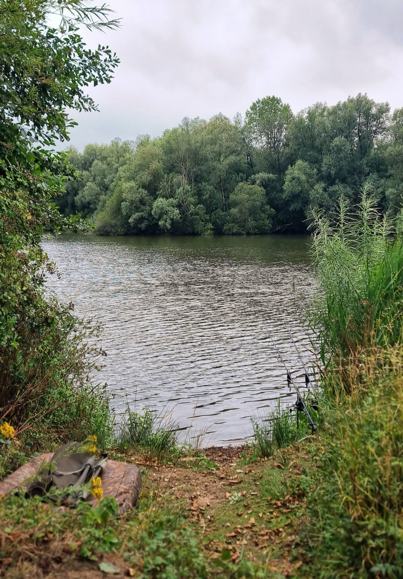 Its been far to long | UK Carp & Coarse Fishing