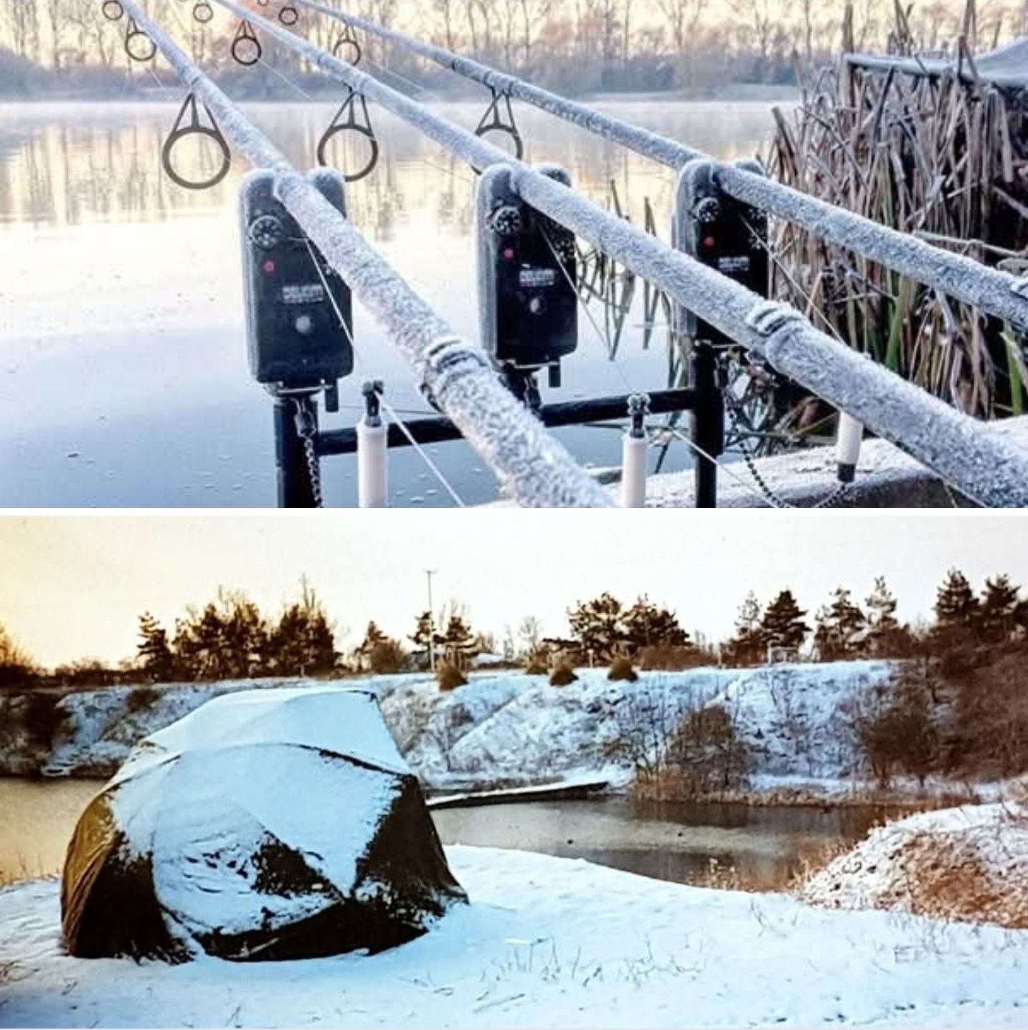 Winter warriors or not | UK Carp & Coarse Fishing