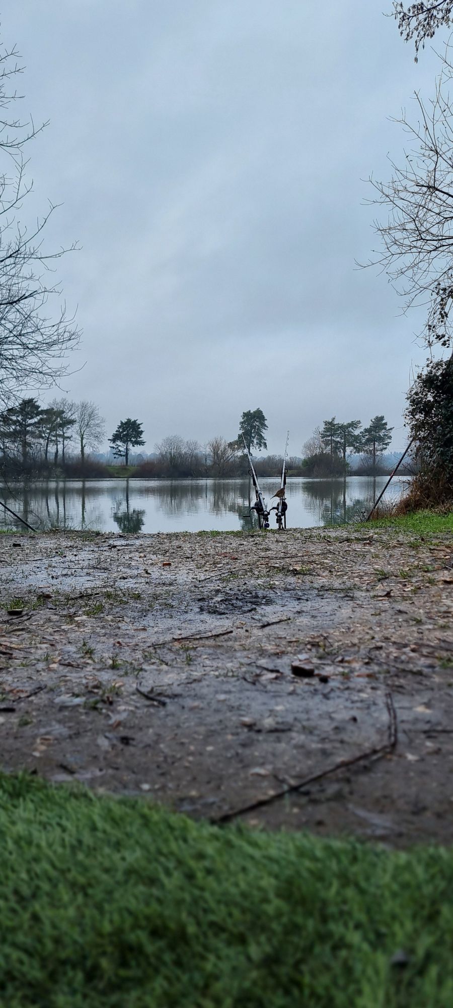 Watching and Waiting | UK Carp & Coarse Fishing