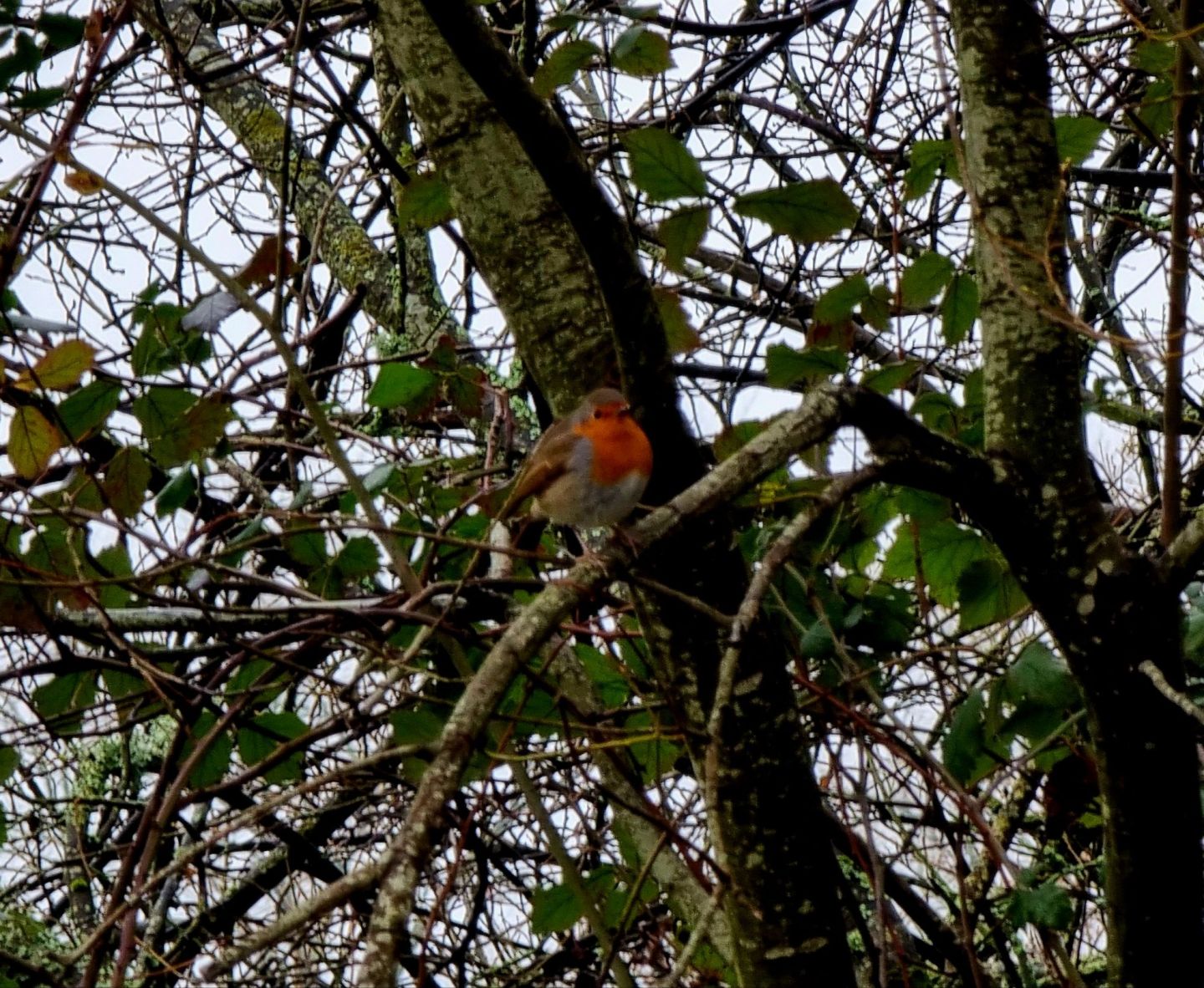 It’s that time. | UK Carp & Coarse Fishing
