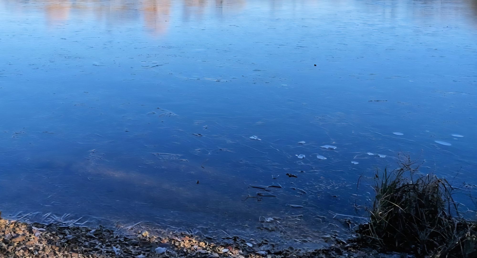 Fingers crossed | UK Carp & Coarse Fishing